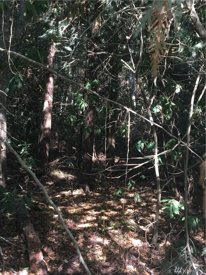 MLS#1193434: 111 Hidden Trails Road, Port Townsend, WA 98368