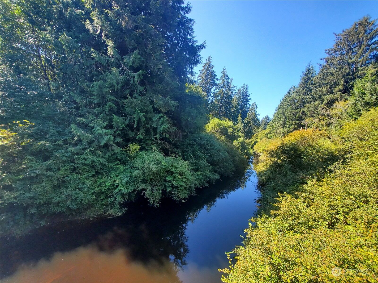 MLS#2284647: 0 Ocean Beach Road, Copalis Crossing, WA 98536